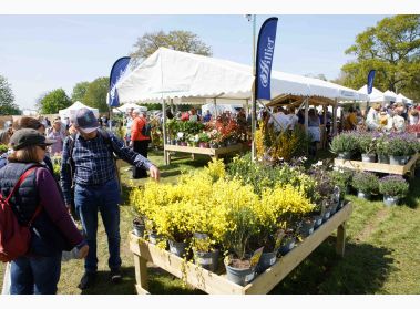 Gardenforum News - Show News - Sunshine brings record visitors to BBC ...