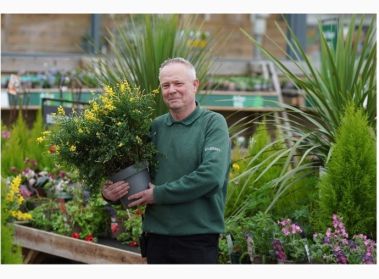 Gardenforum News - People - Loyal Dobbies Edinburgh colleague ...