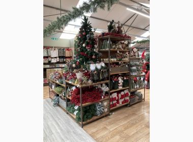 Gardenforum News - Around the Country - A festive Christmas at Hillier