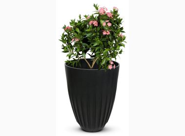 Gardenforum Products - Gardening - Primeur unveils latest planter ...