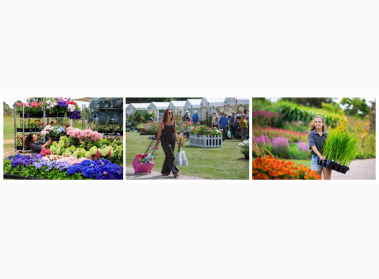 Gardenforum News - Show News - RHS Garden Hyde Hall Flower Show