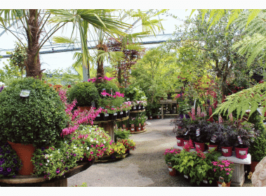 Gardenforum News - Company - Garden centres catch up with 2022