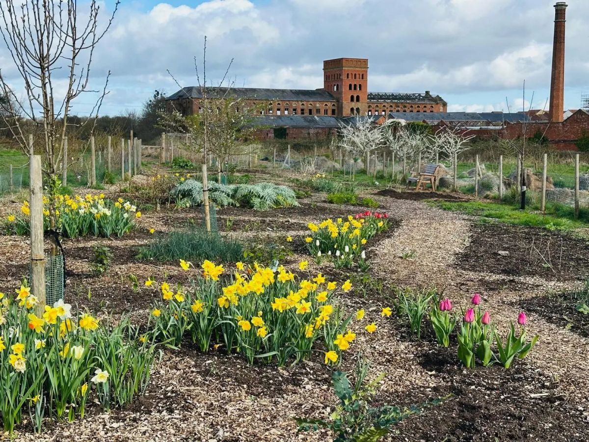 Gardenforum News - Company - Blue Diamond backed garden wins first ...