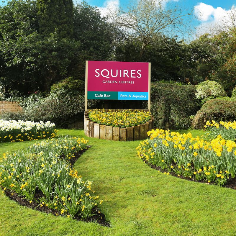 Gardenforum Headlines - Positive result for Squire’s in a challenging ...