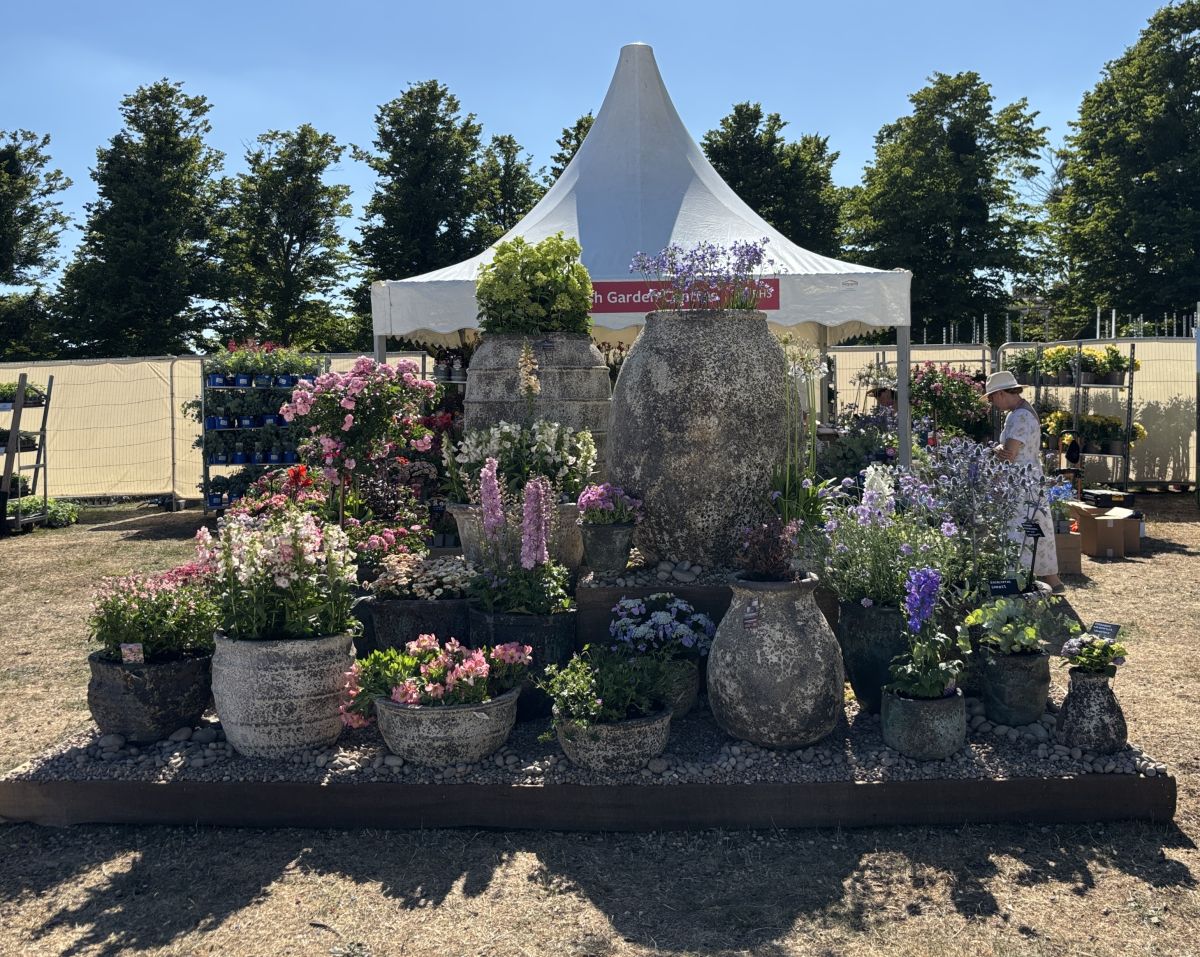 Gardenforum News - Show News - British Garden Centres wins 4 flower awards