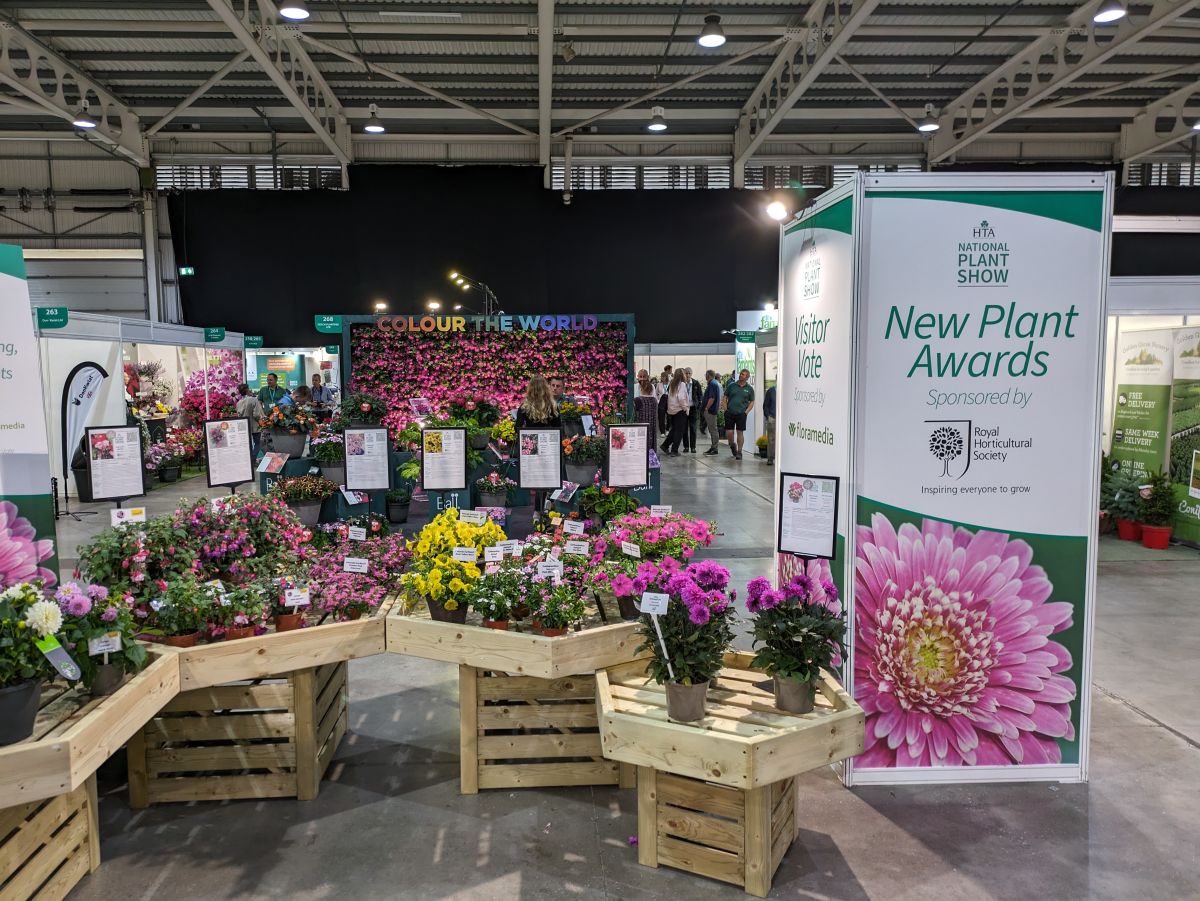 Gardenforum Products - Plants - Chat from the HTA National Plant Show