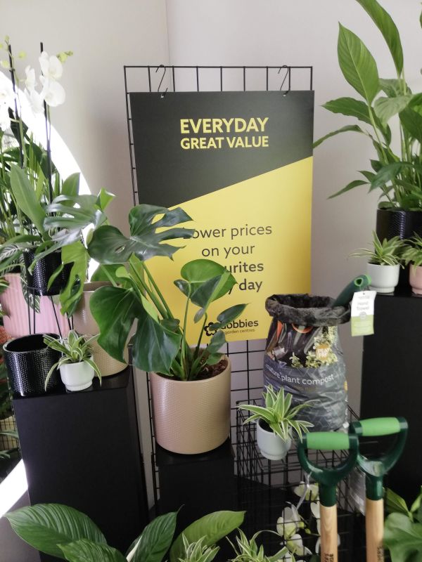 Gardenforum News - Company - New product strategy for Dobbies