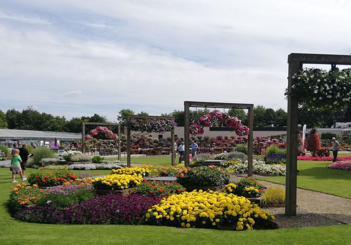 Gardenforum News - Company - Growers are in a really positive mood