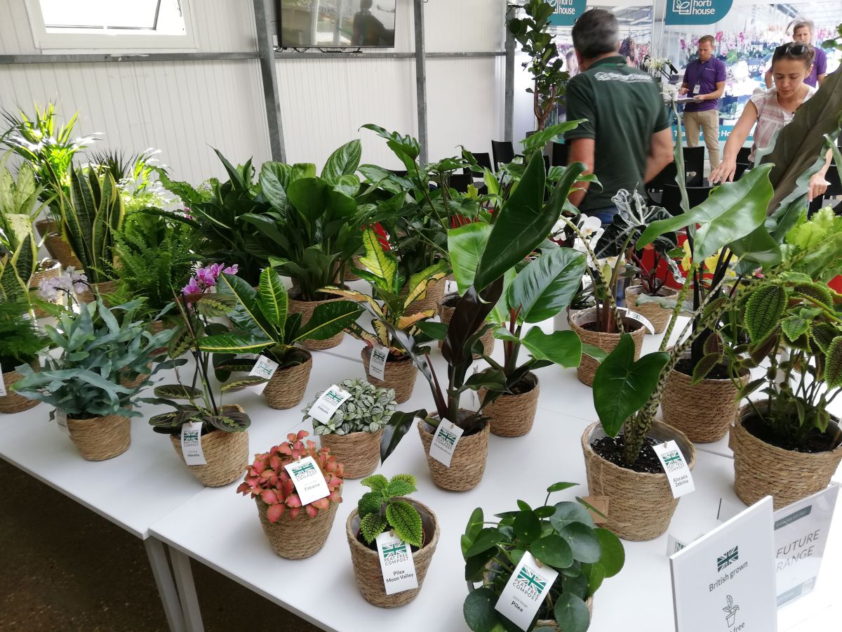 Gardenforum Headlines - The Horti House shows the future for UK houseplants