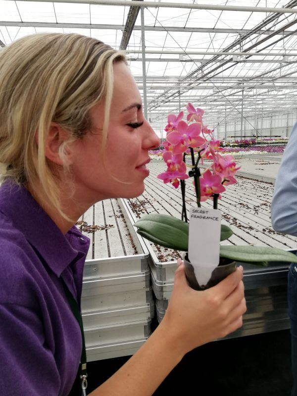 Gardenforum Headlines - The Horti House shows the future for UK houseplants