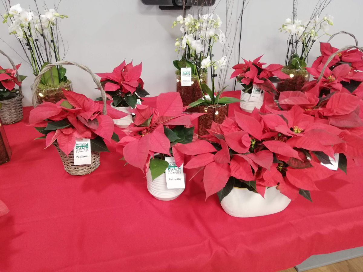 Gardenforum Headlines - The Horti House shows the future for UK houseplants