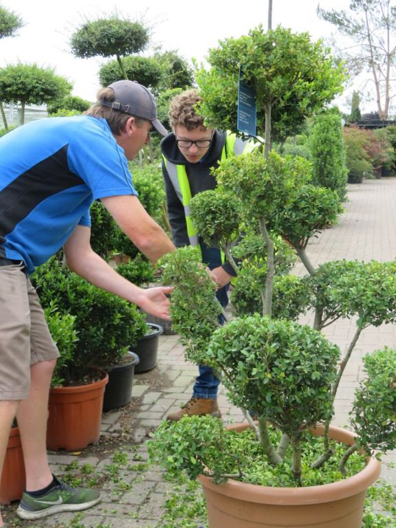 Gardenforum News - People - Hadlow College Student Progression at ...
