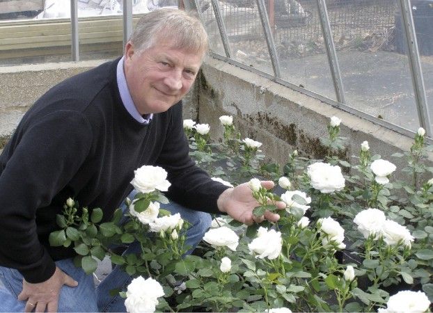 Gardenforum News - People - Tribute to rose grower and breeder Robert ...