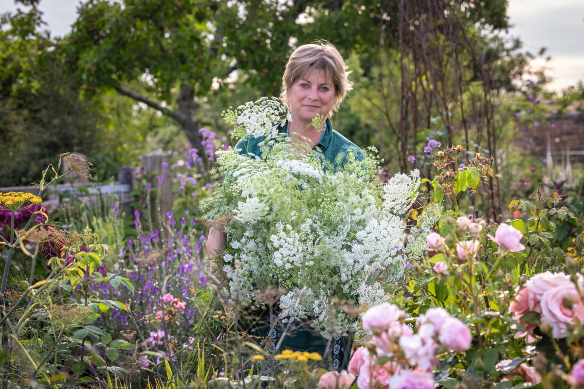 Gardenforum News - Company - Sarah Raven crowd funds for growth