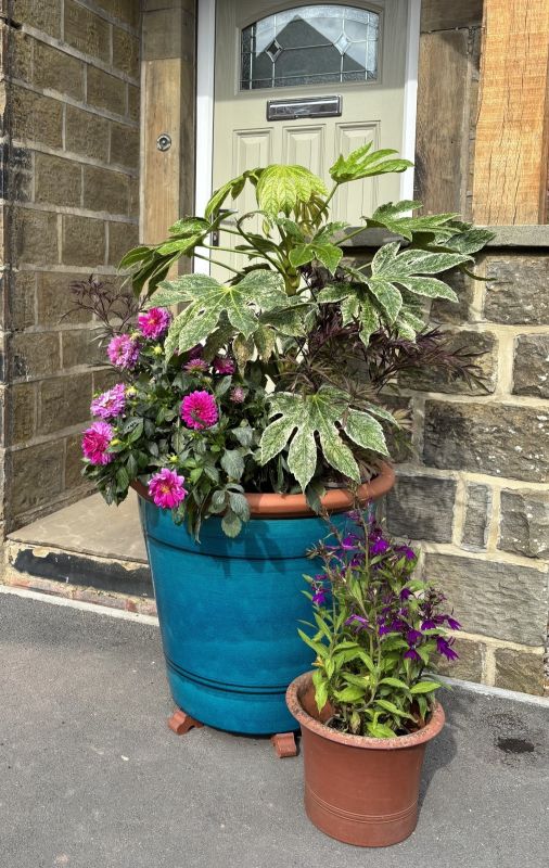 Gardenforum Special Features - Glee - British Flowerpots to launch new ...