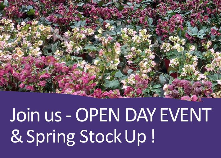 Gardenforum News - Around the Country - Allensmore Nurseries – Open Day ...