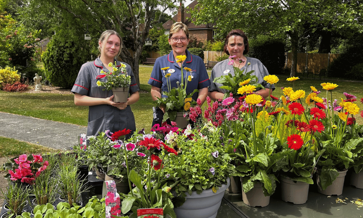 Gardenforum Products - Plants - New lease of life for plants from the ...