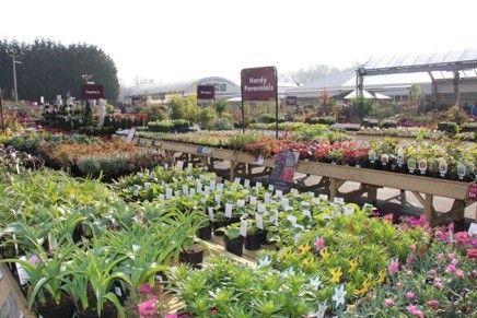 Gardenforum News - People - New manager welcomes you to Squire’s in ...